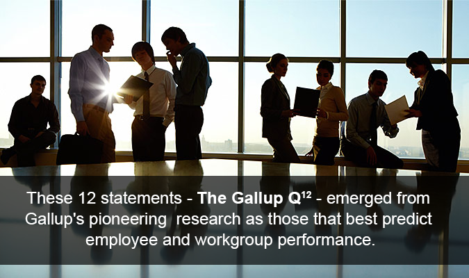 Getting In-depth with the Gallup Q12 Employee Surveys