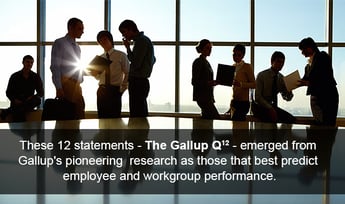 Getting In-depth with the Gallup Q12 Employee Surveys