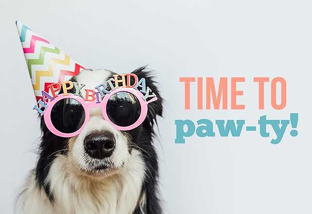 100+ Employee Birthday Wishes: Messages & Ideas for 2025